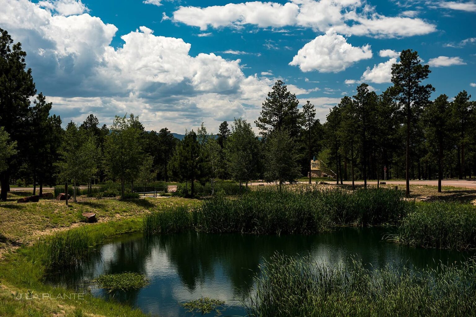 Plan an Unforgettable Family Reunion in Colorado